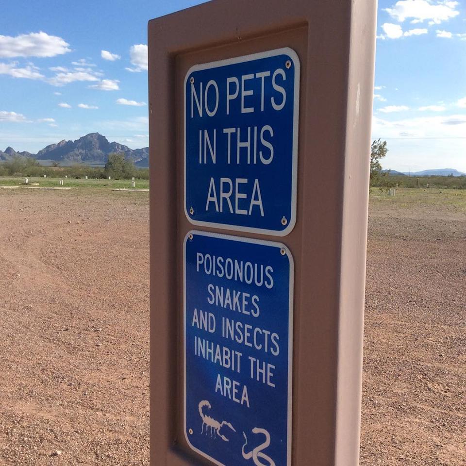 arizona-fun-signs – Turning my world upside down!